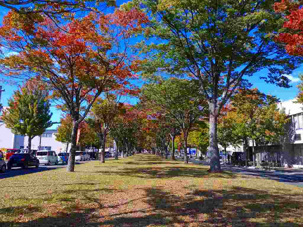 ankoya: 物見山にウサギを探す